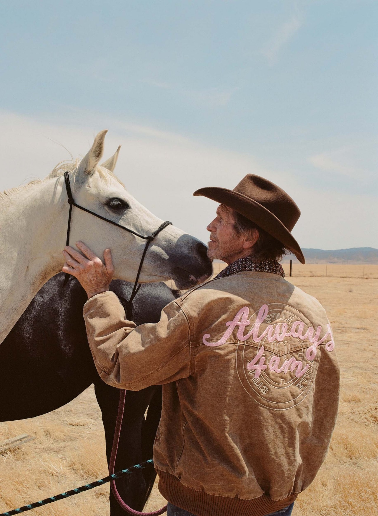 STILLZ — STAY STILLZ — CANADA